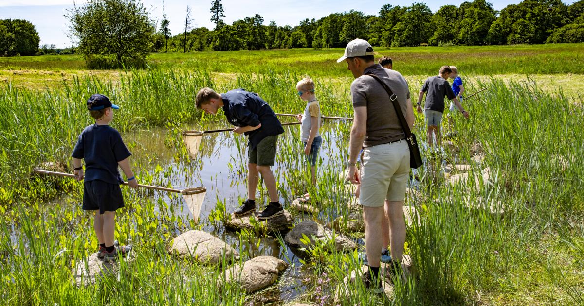 Tag des Nationalparks bringt Jung und Alt nach draußen | Nationale Parken